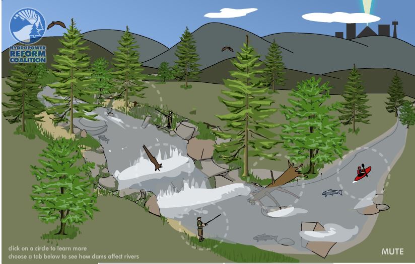 Interactive Video of the Month: Dam Effects | riverwatch.eu